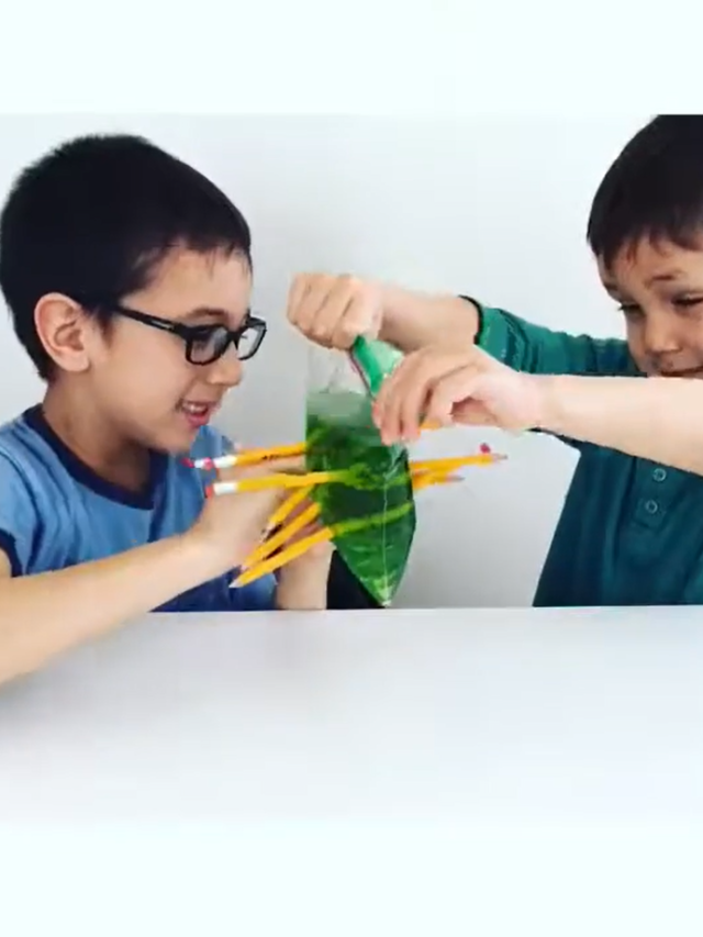 Pencils Through A Bag Experiment ⋆ Raising Dragons